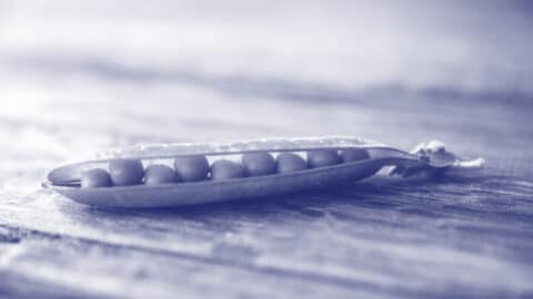 Time for a Pod structure at your agency?